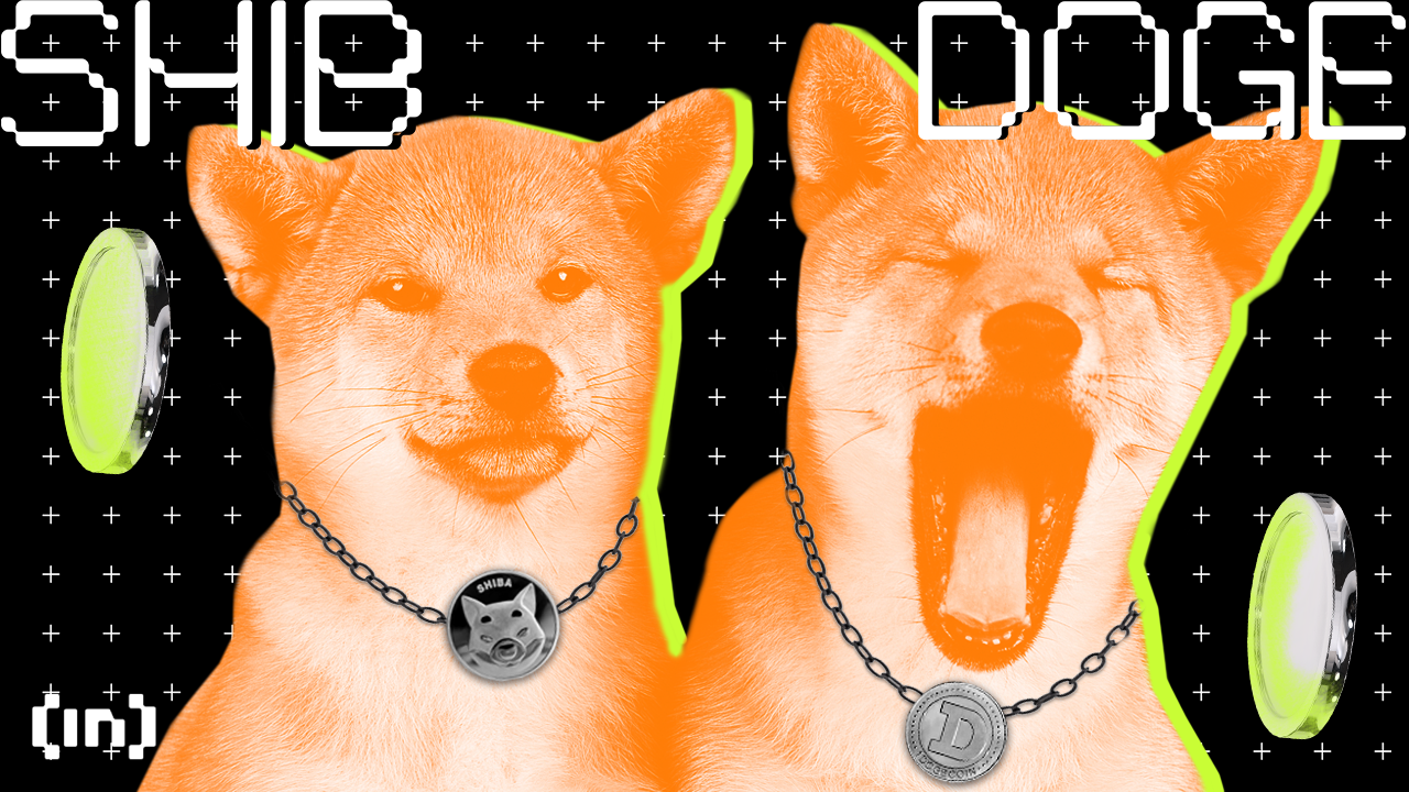Shiba Inu (SHIB) vs. Dogecoin (DOGE): wat is het verschil?